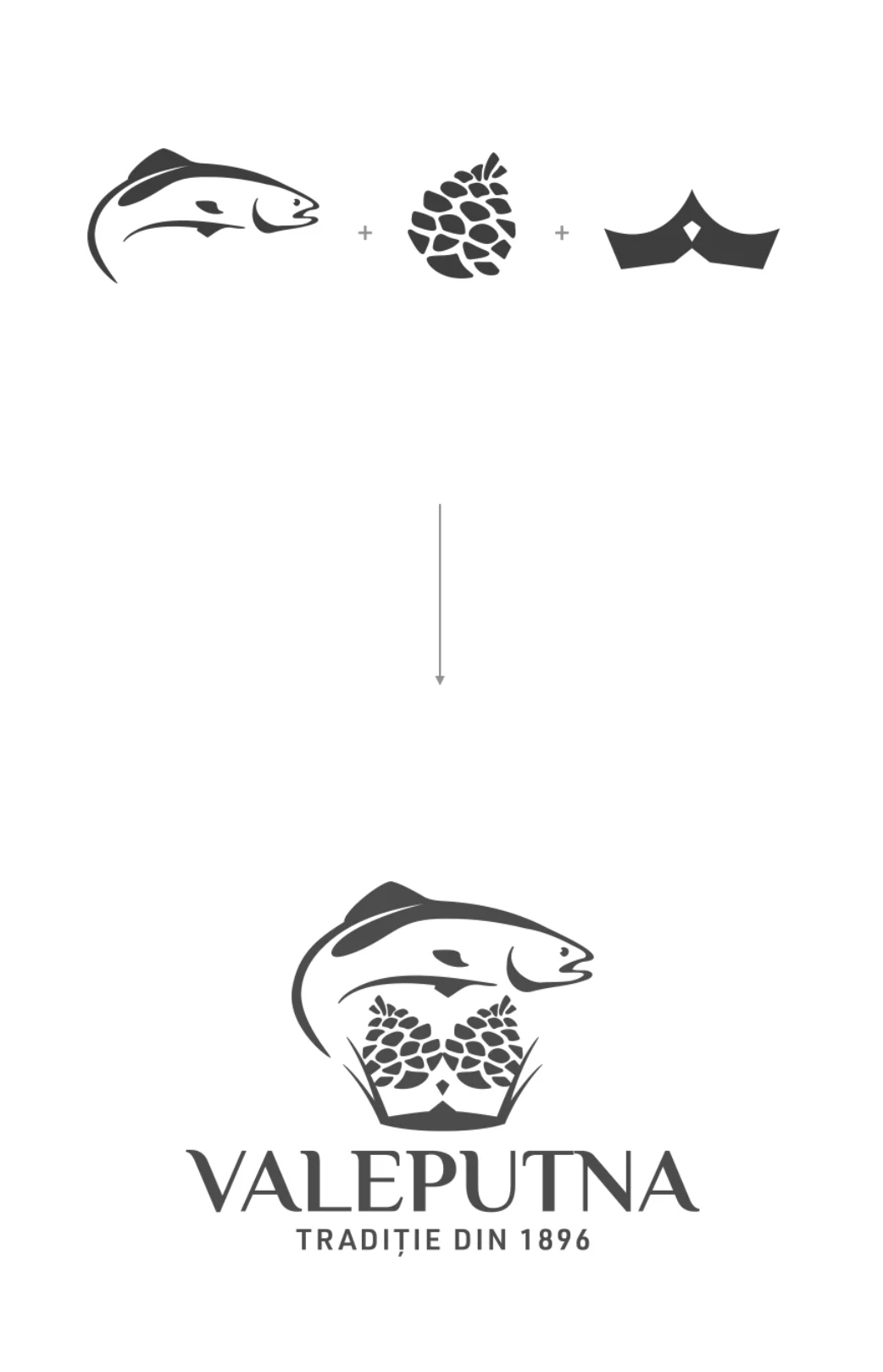 VALEPUTNA - ARMEANU Creative Studio - Branding agency